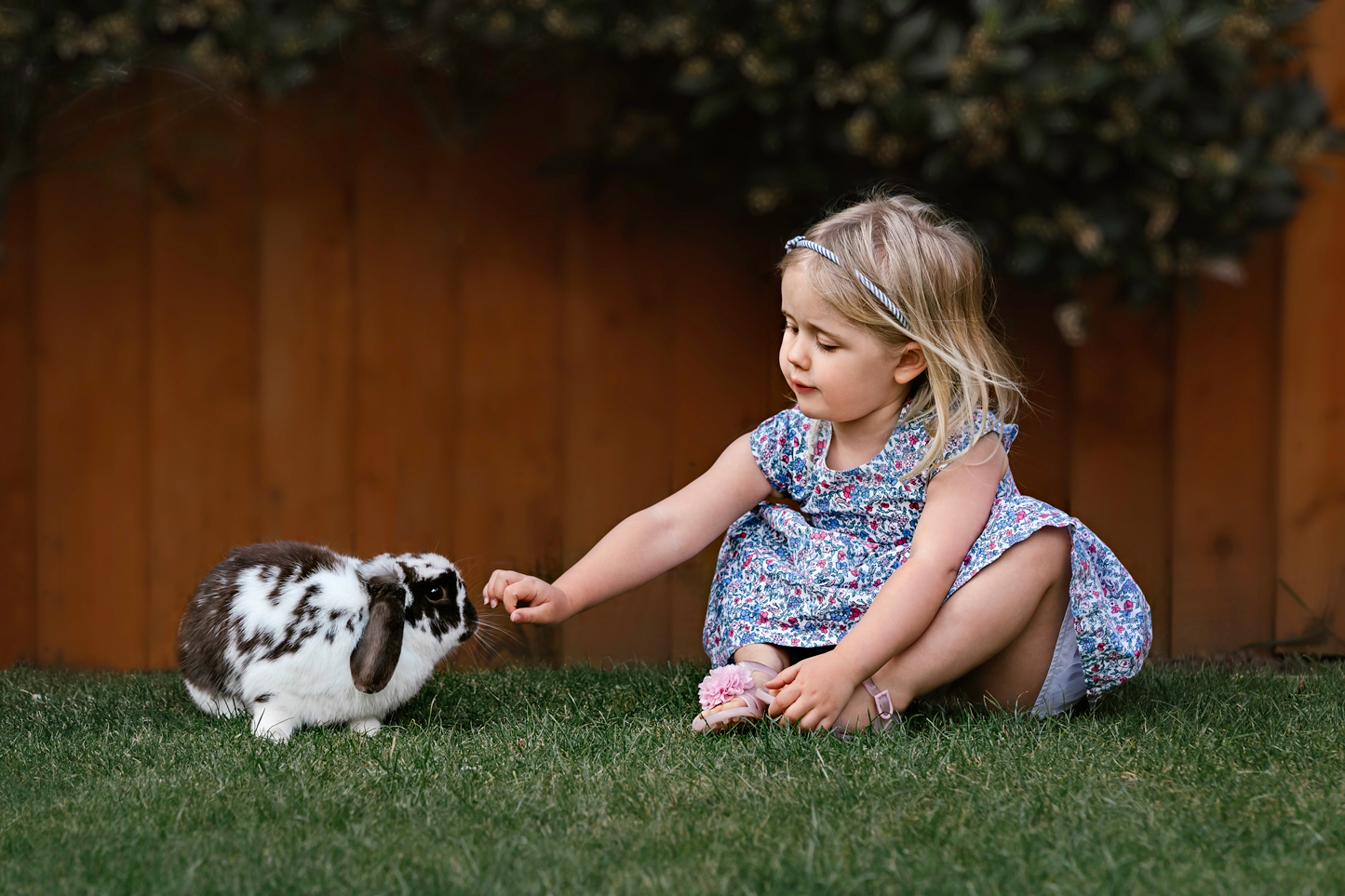 Discount code for Meagan Sarah Photography | Meagan Sarah Photography